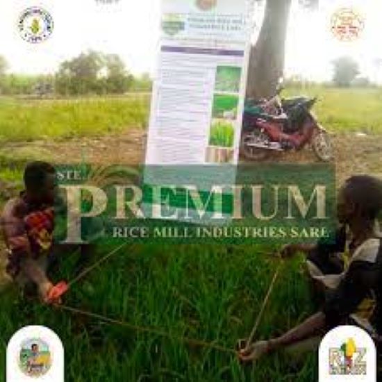 PREMIUM RICE MILL autorisé à installer 02 rizeries au Bénin - 24 HEURES ...