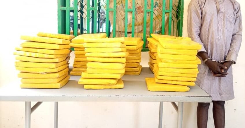 69 briques de chanvre indien en provenance du Bénin saisies au Niger ...